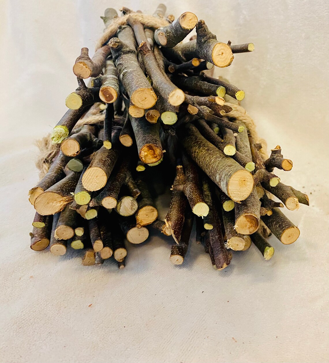 Fresh Birch Stick Bundle 25 Count - Etsy