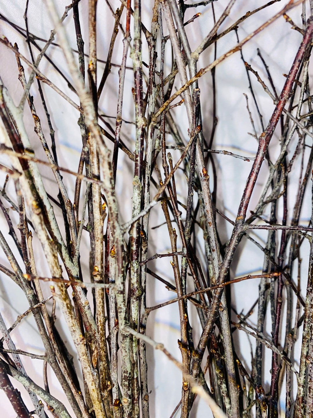 Black Cherry Tree Twigs: Rustic Wedding Floral Arrangement - Etsy