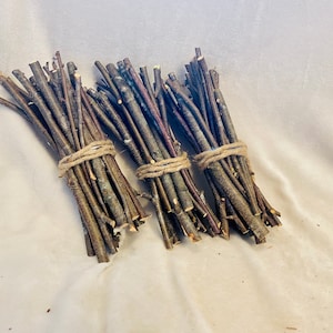 Fresh Birch Stick Bundle - 25 Count - Etsy