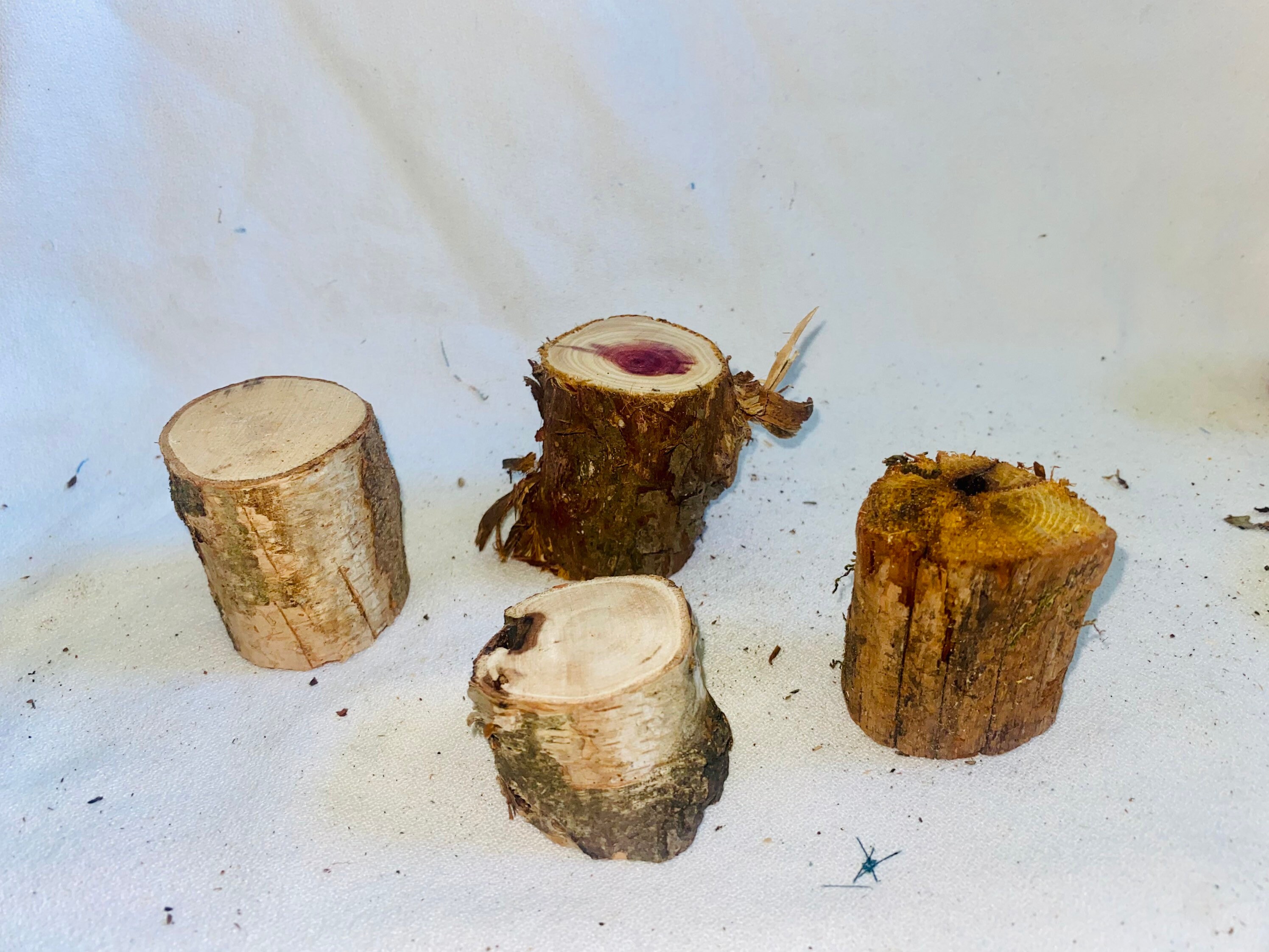 Mini Tree Stumps Set of 12 Assorted Small Wood Stumps - Etsy UK
