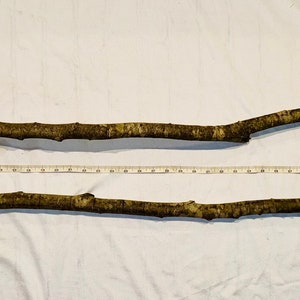 Natural Birch Limbs (set of 2): 50" Craft Sticks, Birch Rods - Etsy