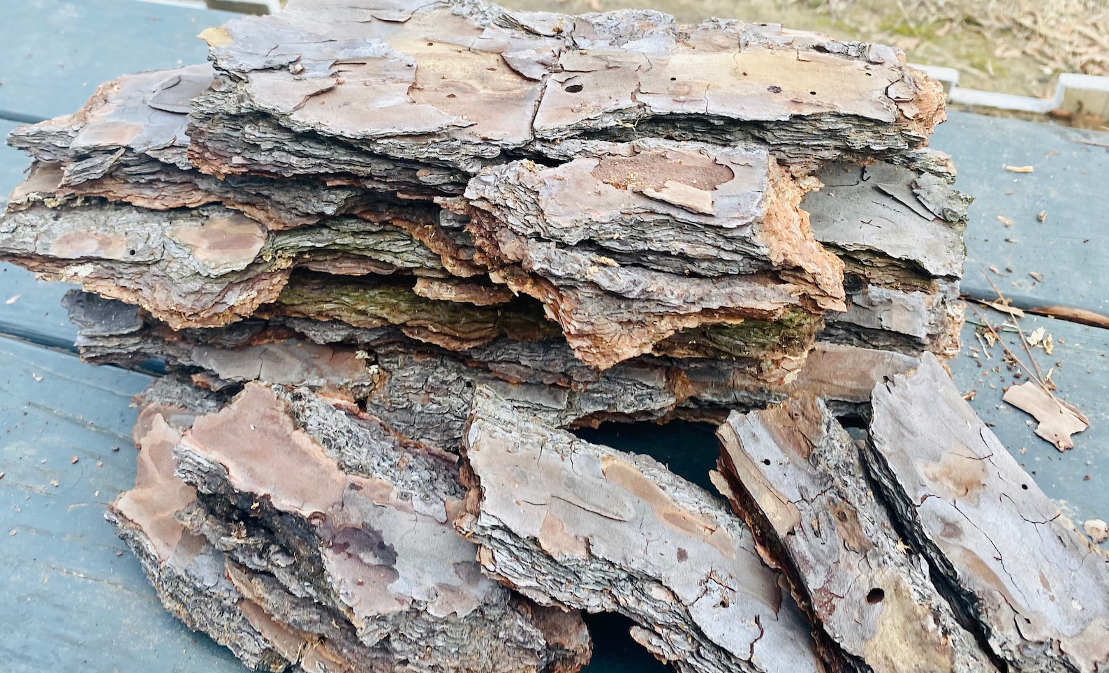 Natural Pine Tree Bark 1 pound | Etsy