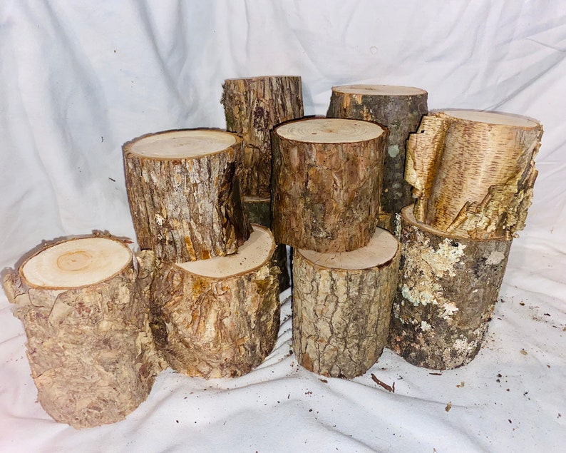Live Edge Log Stumps Set of 5 Assorted Types Rustic Wood - Etsy