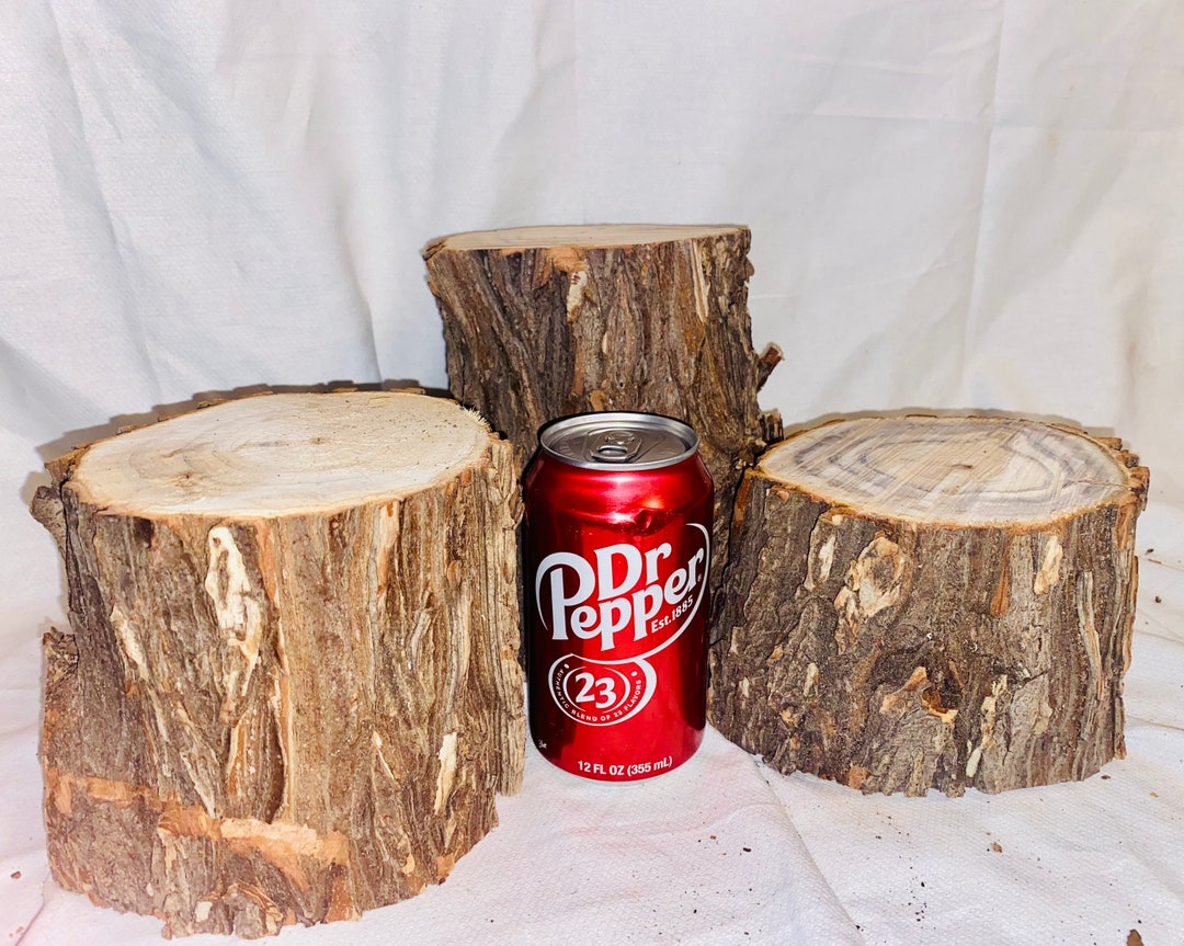 Willow Log Stumps: Rustic Wood Decor, Table Centerpiece (set of 3) - Etsy