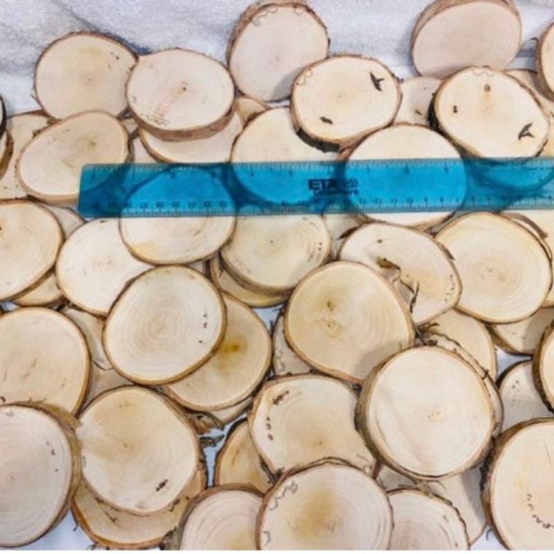 Tree Branch Slices - Etsy