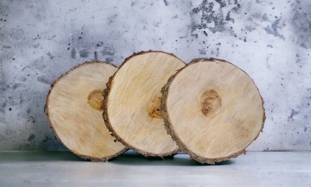 10 Birch Tree Slice Large Tree Slice Rustic Wood Cake Stand Rustic ...