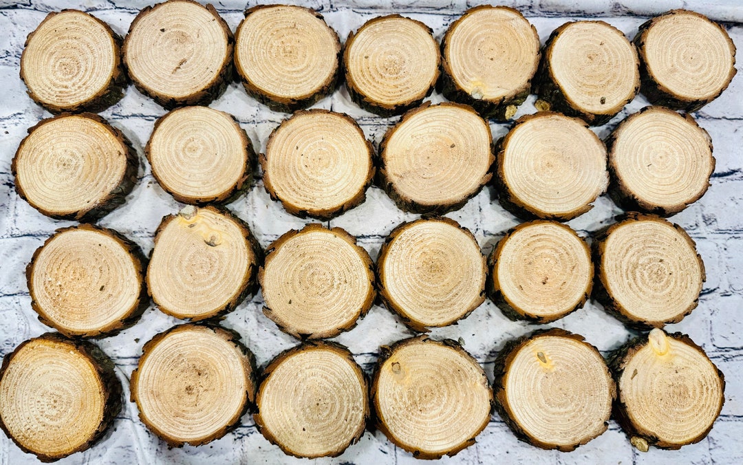 25 Pine Slices - 3” Diameter X 1” Thick - Sanded on 1 Side - Pine ...