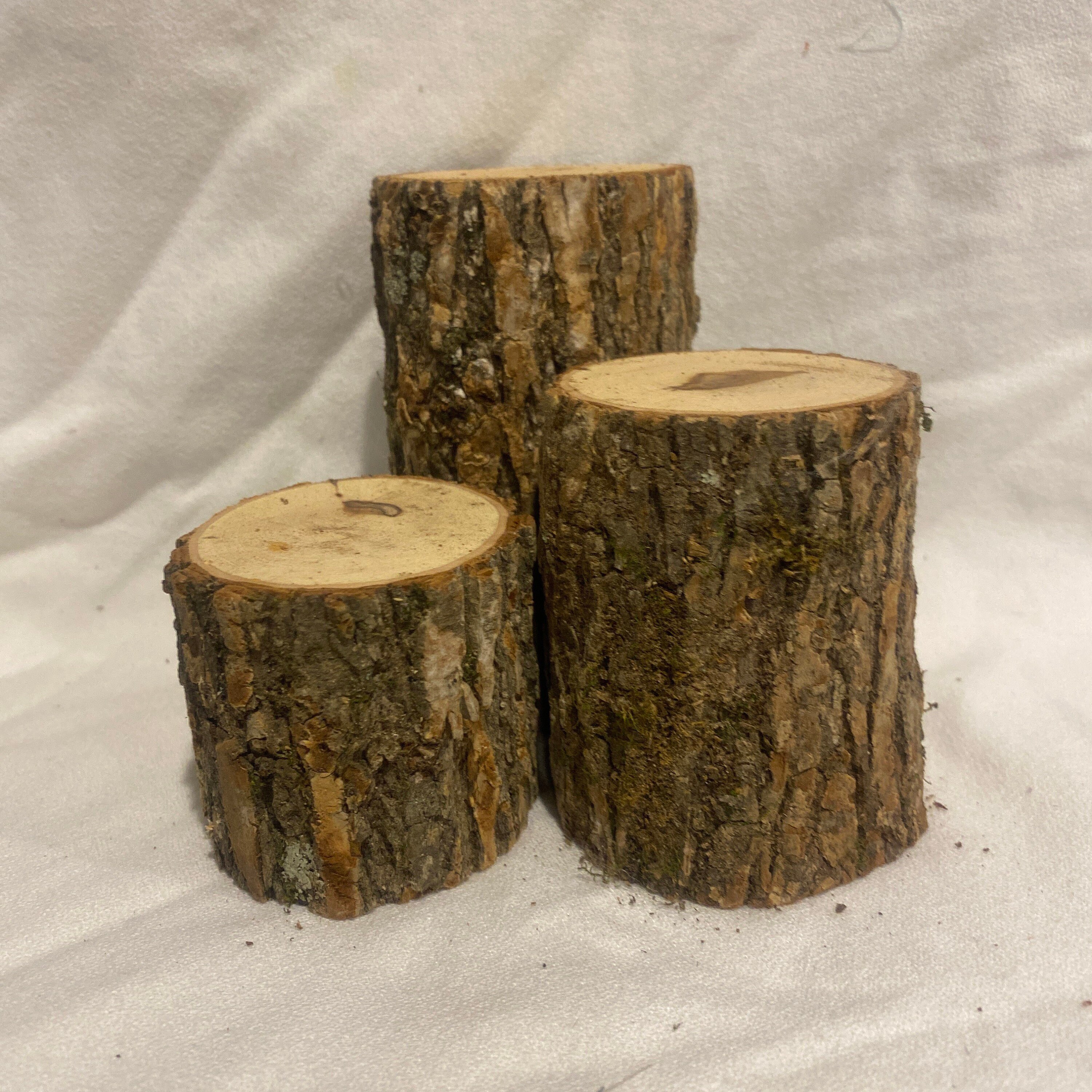 Rustic Wood Log Stump Set: Natural Bark Decor, Wedding Centerpiece - Etsy