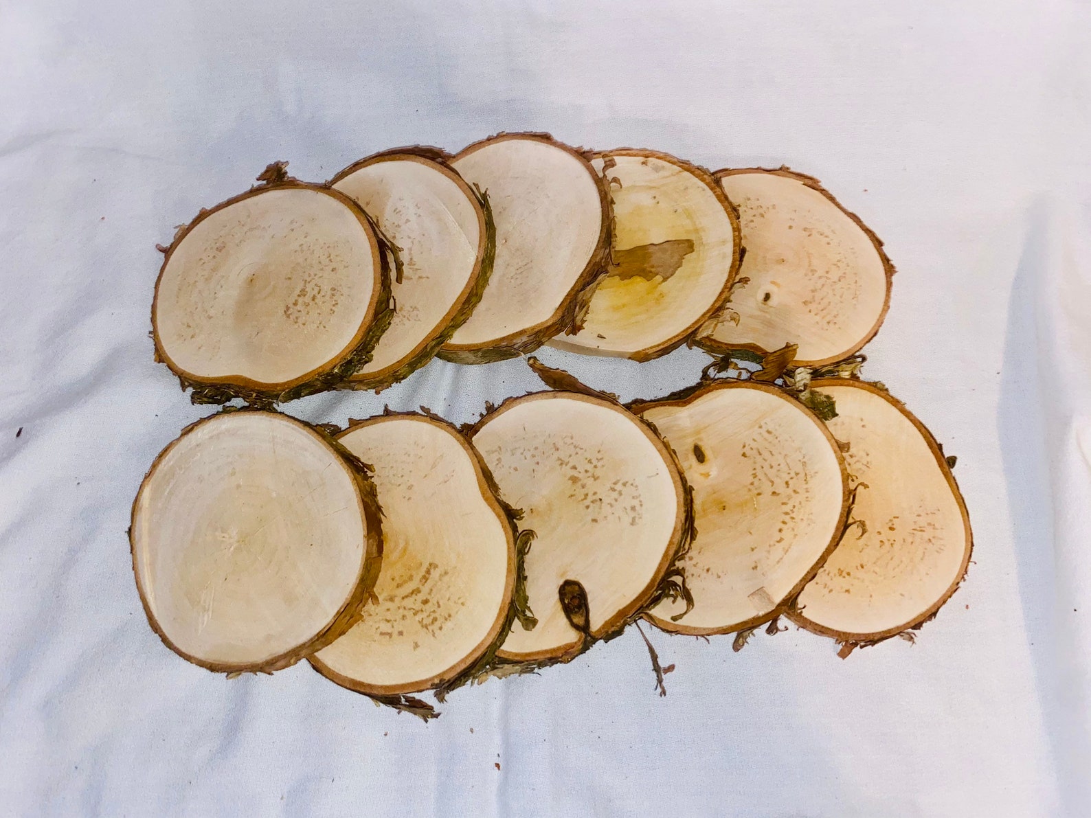 Birch Tree Slices/birch Tree Disc Birch Rounds 4 Inch - Etsy