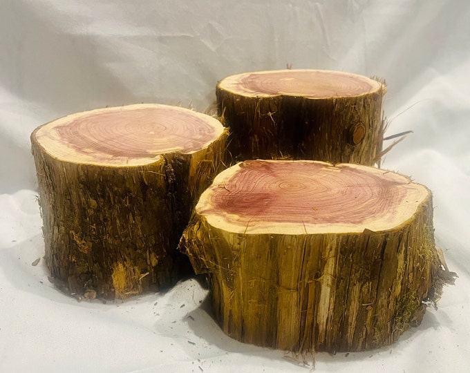 Rustic Cedar Stumps- Set of 3- Live Edge Rustic Cedar Risers - Wedding ...