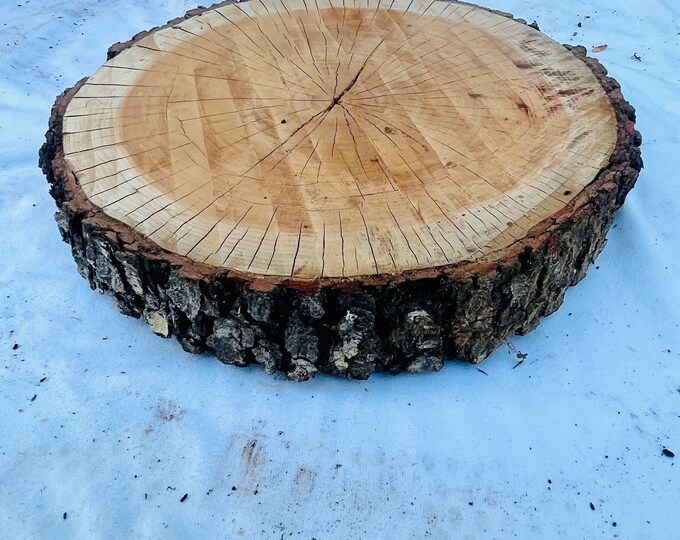 14” Cherry Tree Slice - Large Tree Slice- Rustic Wood Cake Stand ...