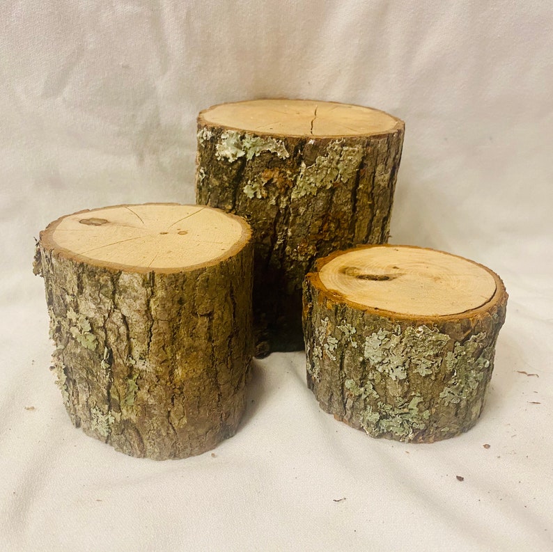 Rustic Wood Log Stumps Set of 3 With 3-4 Diameter Rustic - Etsy