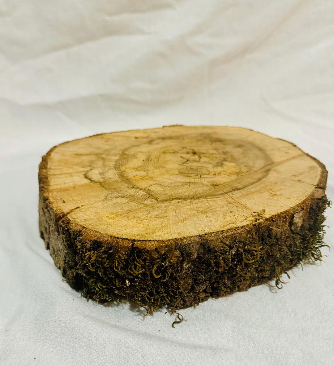 10 Oak Tree Slice Large Tree Slice Rustic Wood Cake Stand Centerpiece ...