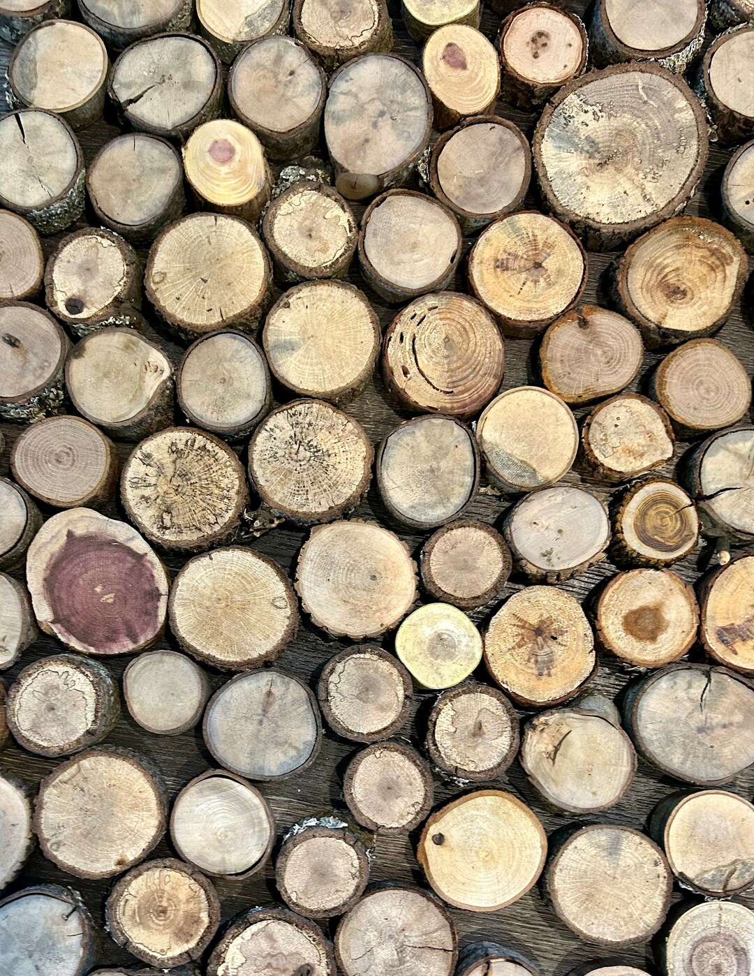 100 1” Thick Wood Slices - Mixed Tree Slices- Mosaic Wood Art -assorted ...