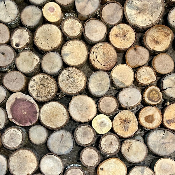 Wood Tree Slice - Etsy