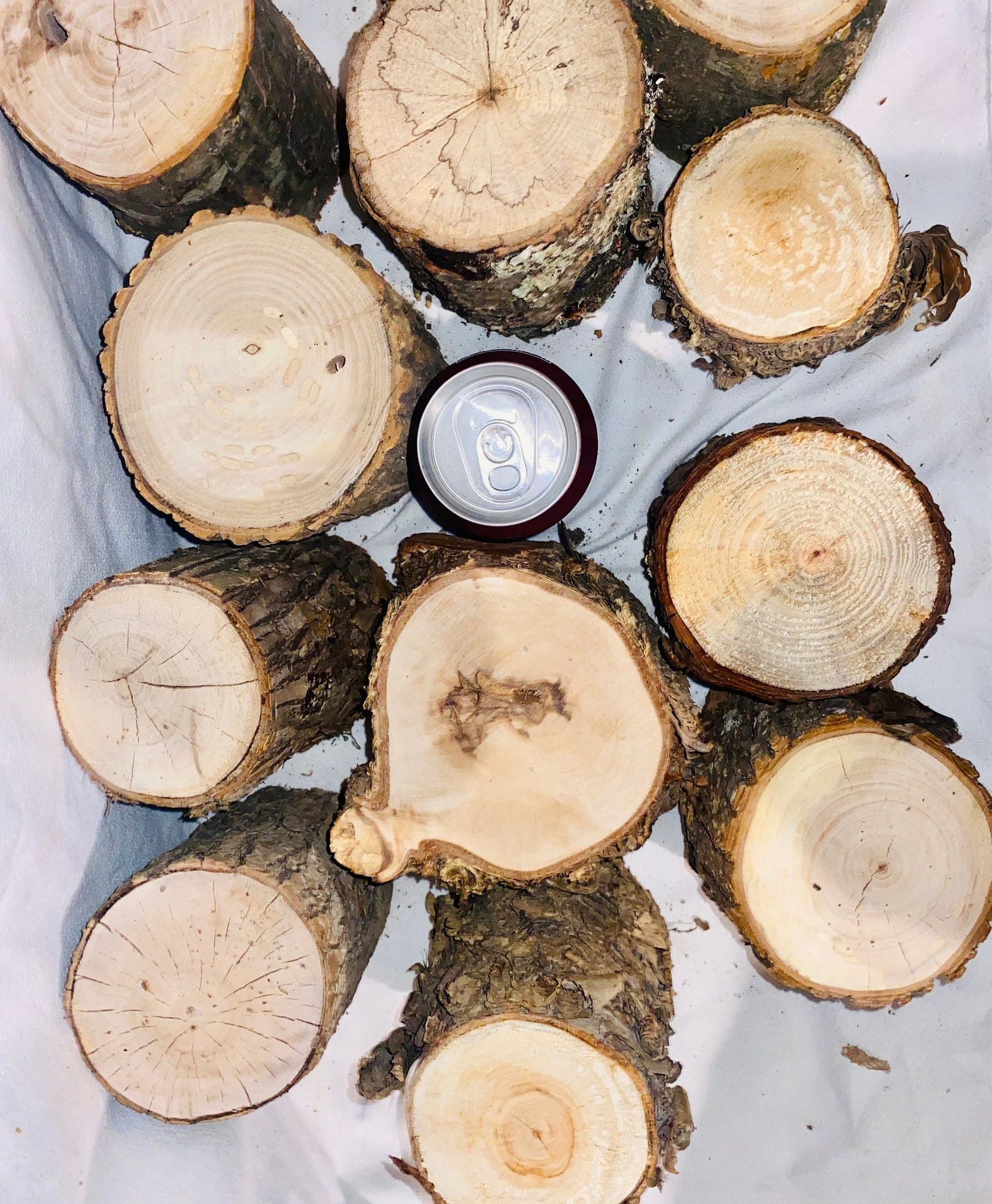 Live Edge Log Stumps Set of 5 Assorted Types Rustic Wood | Etsy