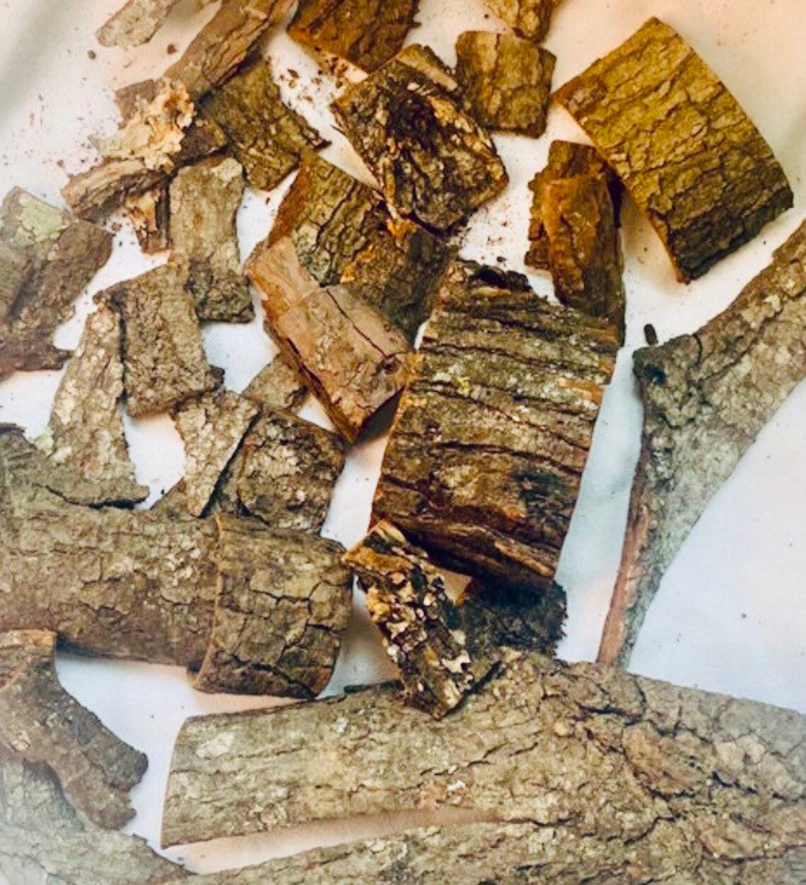 Natural Tree Bark Pieces: 10 Oz Bulk for Fairy Gardens & DIY Crafts - Etsy