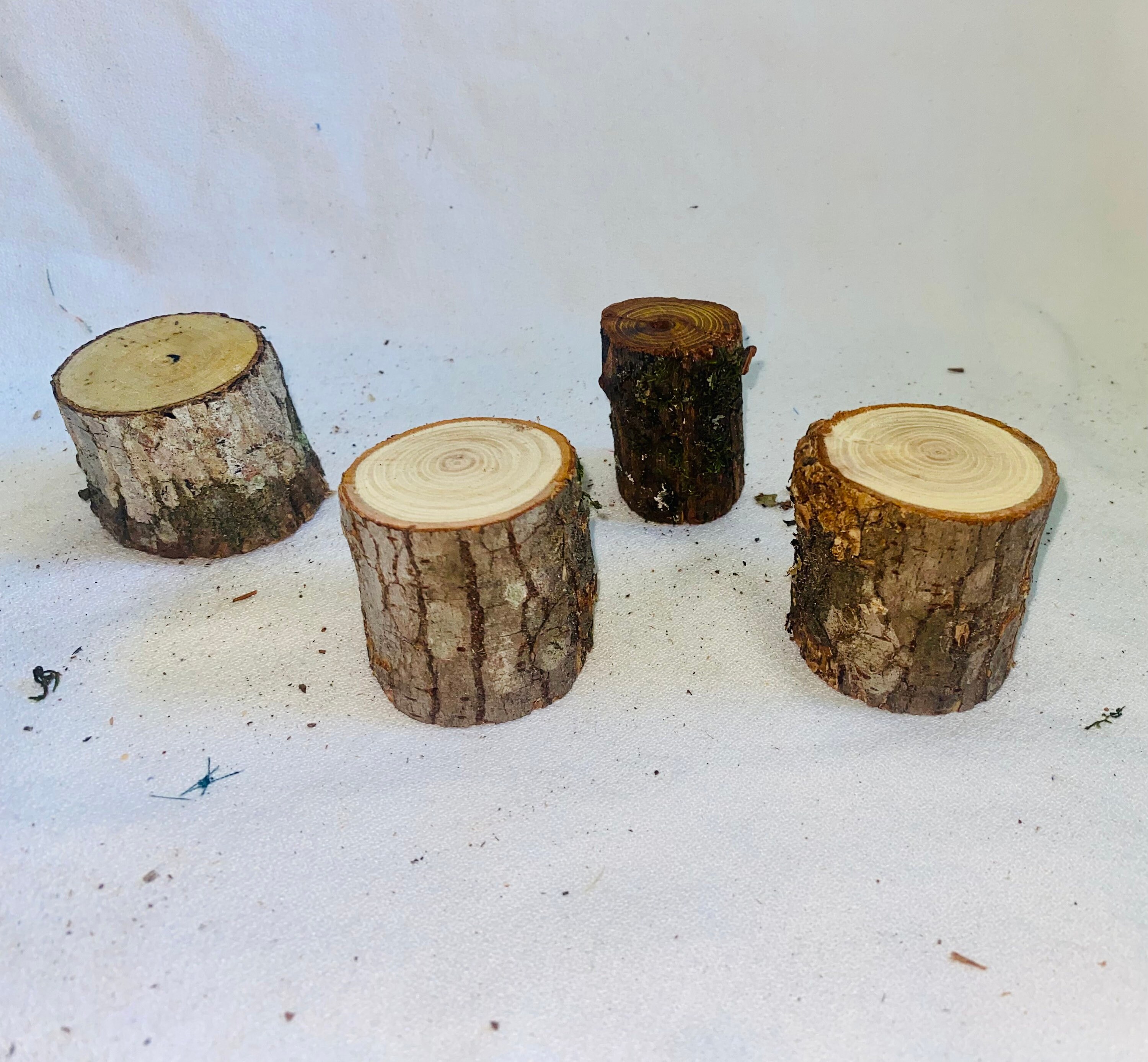 Mini Tree Stumps Set of 12 Assorted Small Wood Stumps - Etsy UK