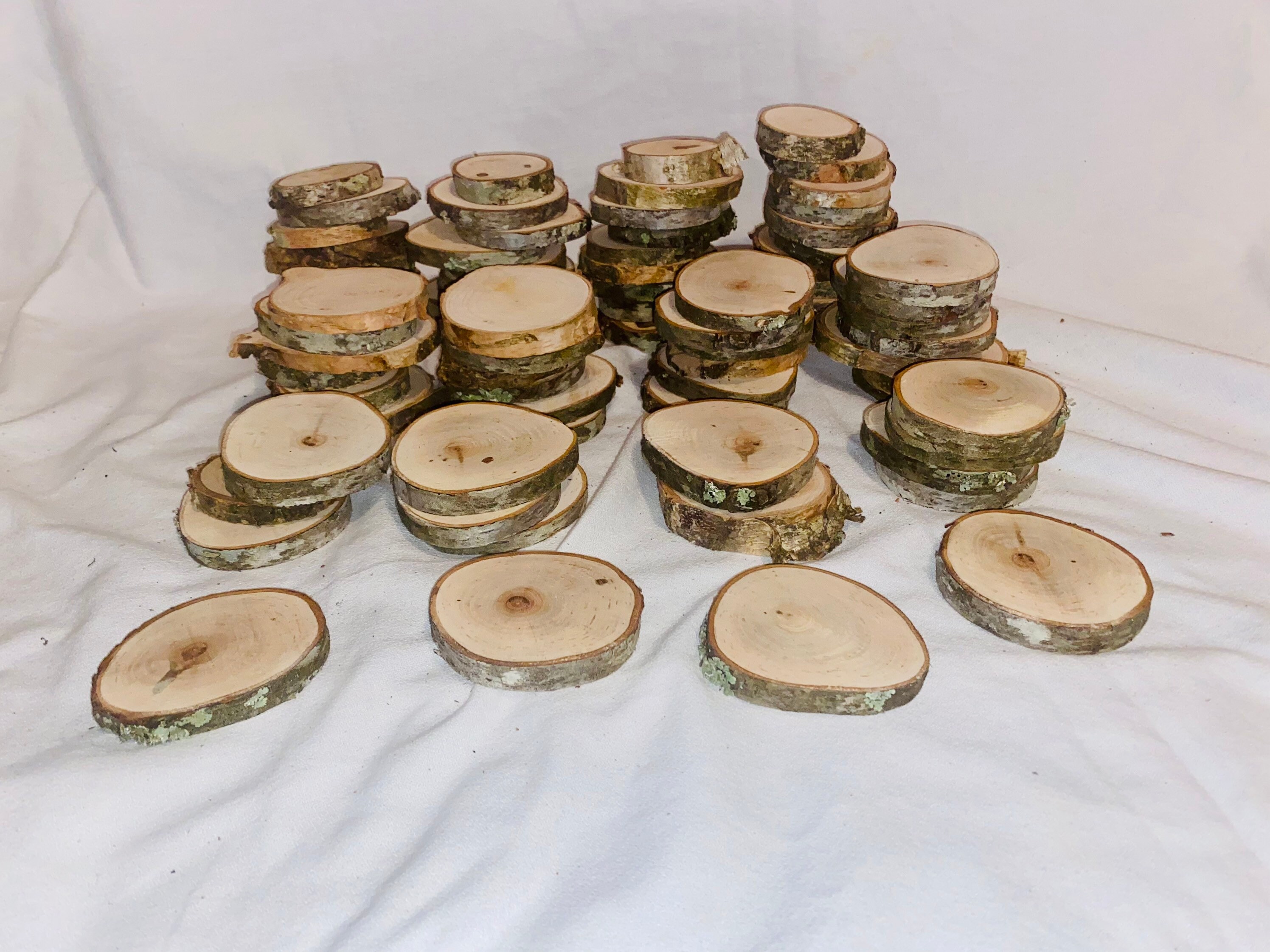 25 Birch tree slices 23 diameter rustic wedding wood | Etsy