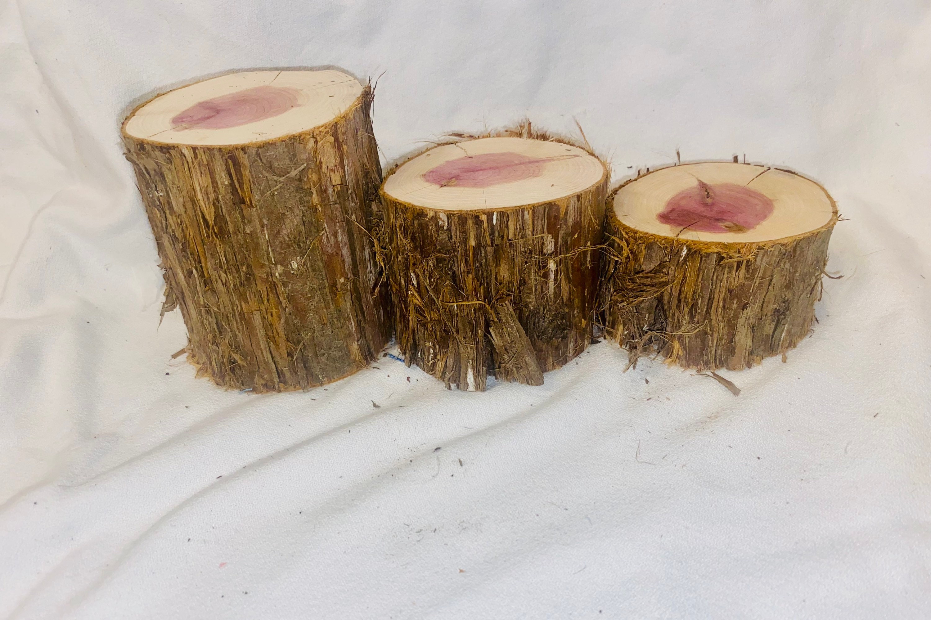 Rustic Cedar Stumps Set of 3 Live Edge Rustic Cedar Risers - Etsy