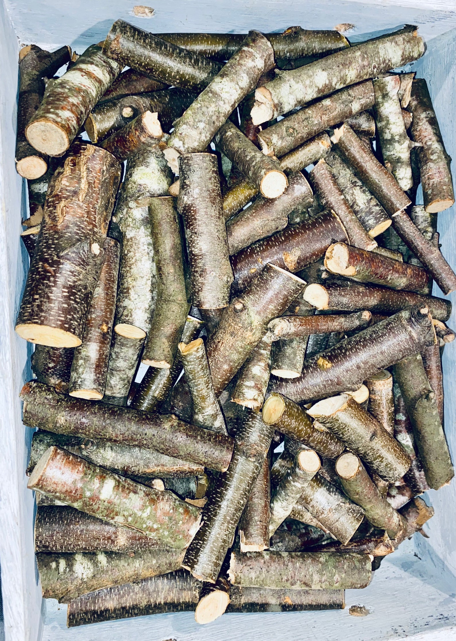 Birch Tree Sticks/branches- Minis- 100 Pieces - Jar Filler - Etsy