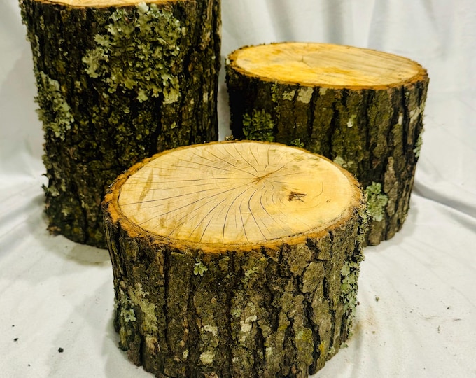 Large Log Stumps Set of 3 Large Rustic Wood Decorations Rustic Wedding ...