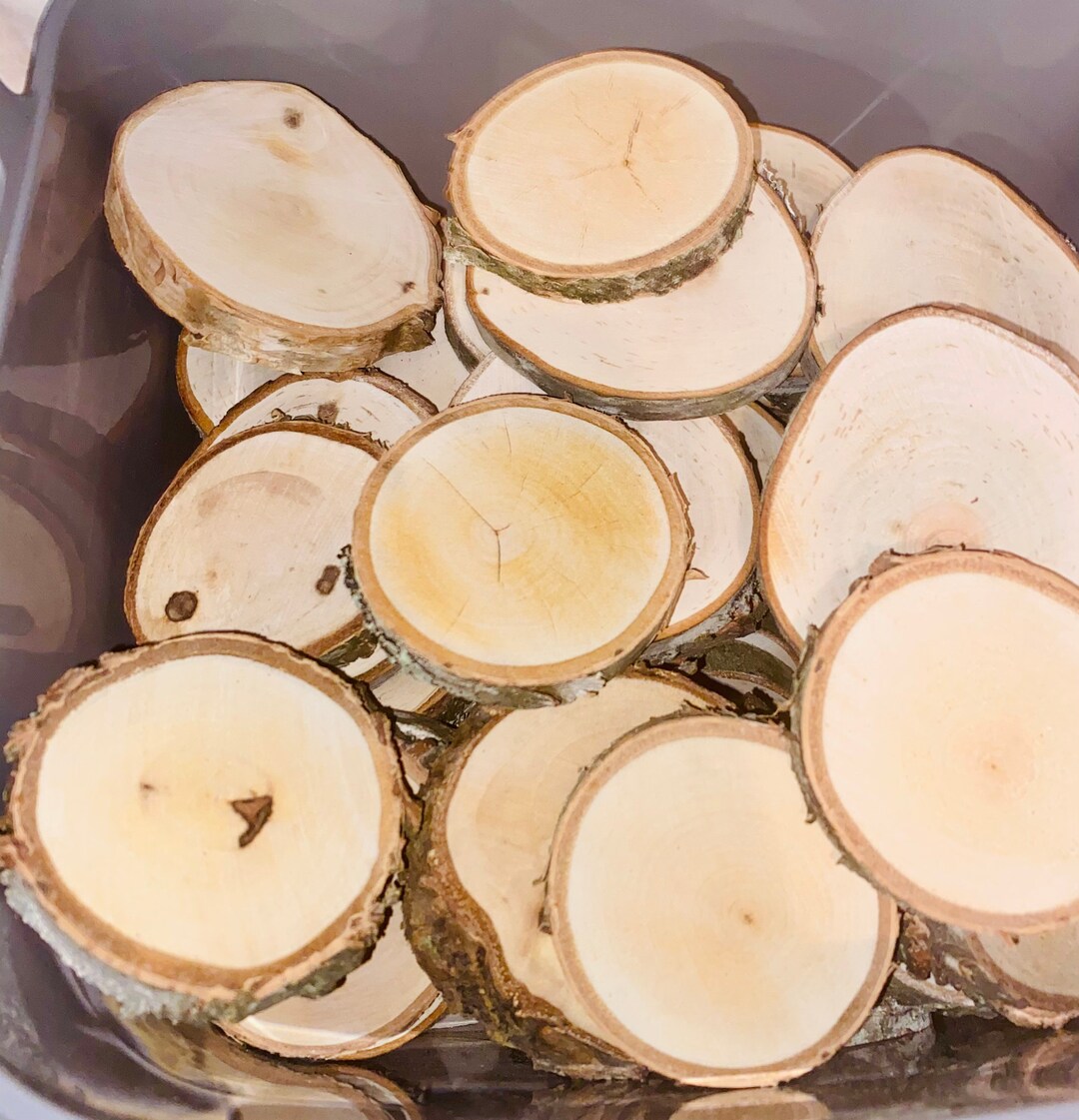 25 Birch Tree Slices - 2”-3” Diameter- Rustic Wedding- Wood Tags ...