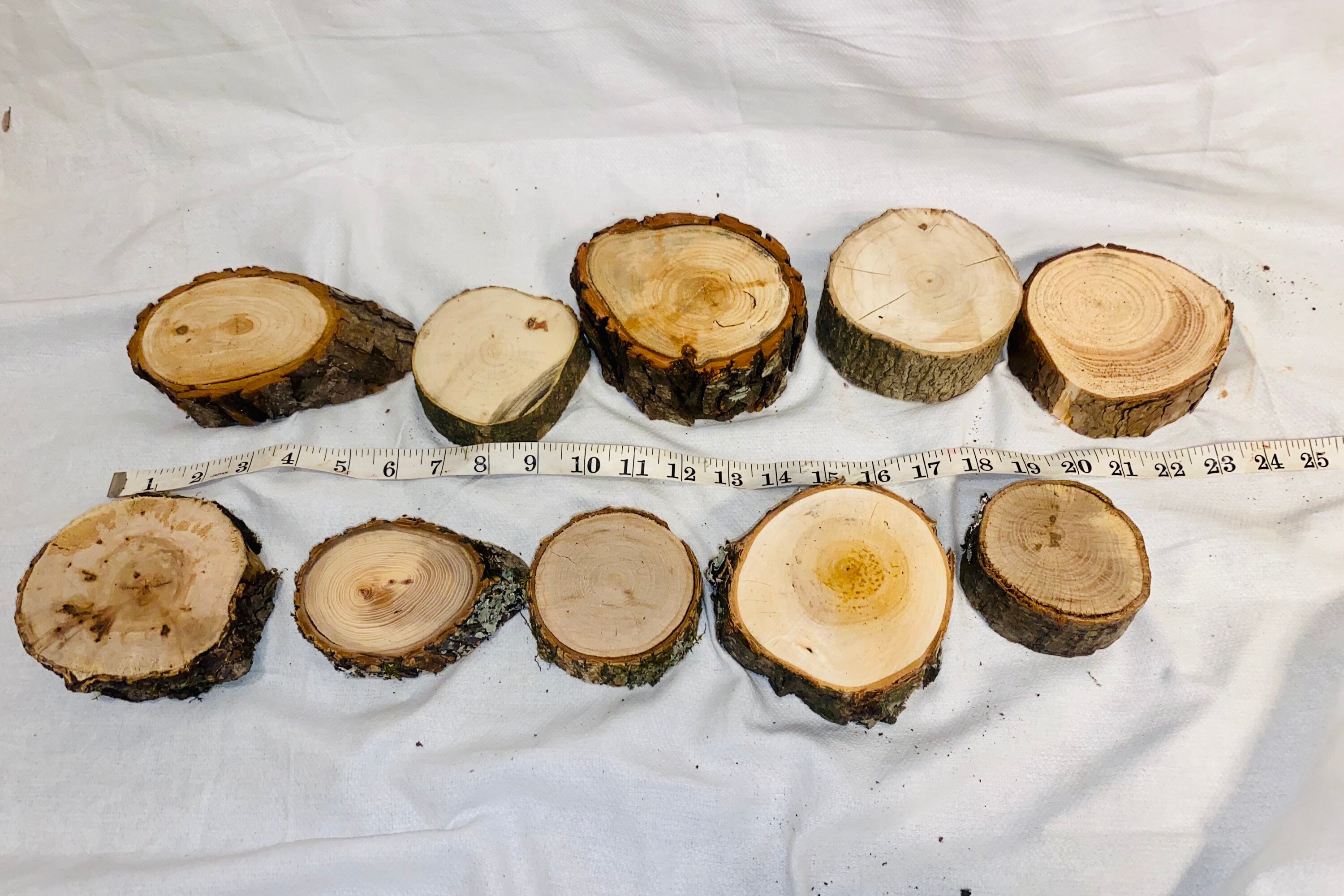Live Edge Log Stumps Set of 10 Assorted Types Rustic - Etsy