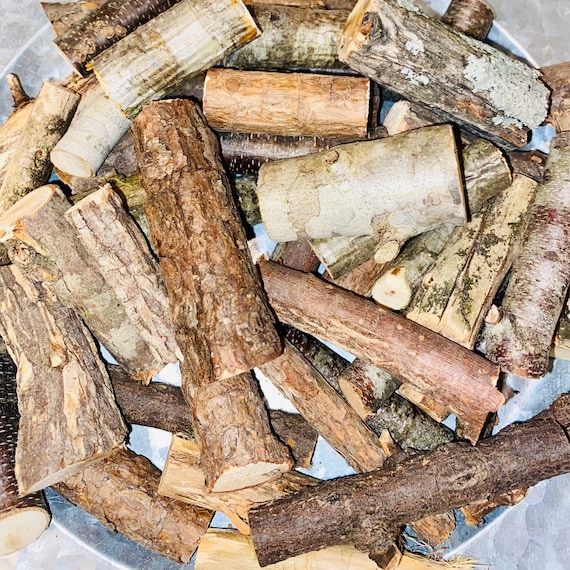 Assorted Miniature Logs/branches 50 Pieces Jar Filler | Etsy