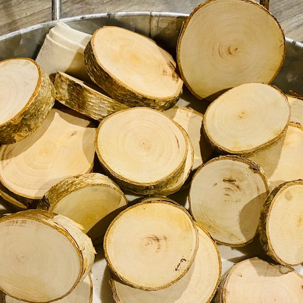 Birch Tree Slice - Etsy