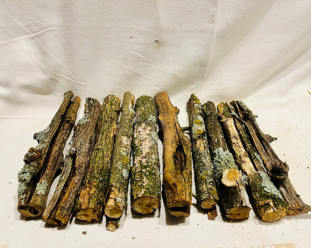 Small Osage Orange Logs - Set of 10 - Wood Sticks/logs -8” Length ...