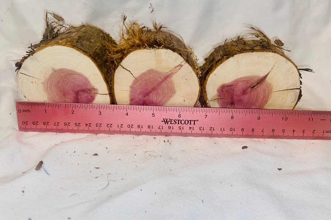 Rustic Cedar Stumps Set of 3 Live Edge Rustic Cedar Risers - Etsy