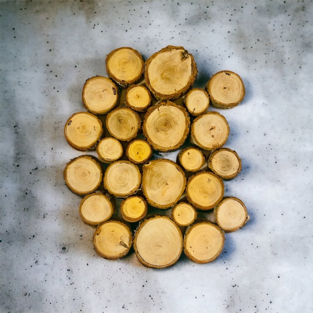 Oak Wood Slices - 25 Slices- Mosaic Wood Slices - Rustic Fireplace ...