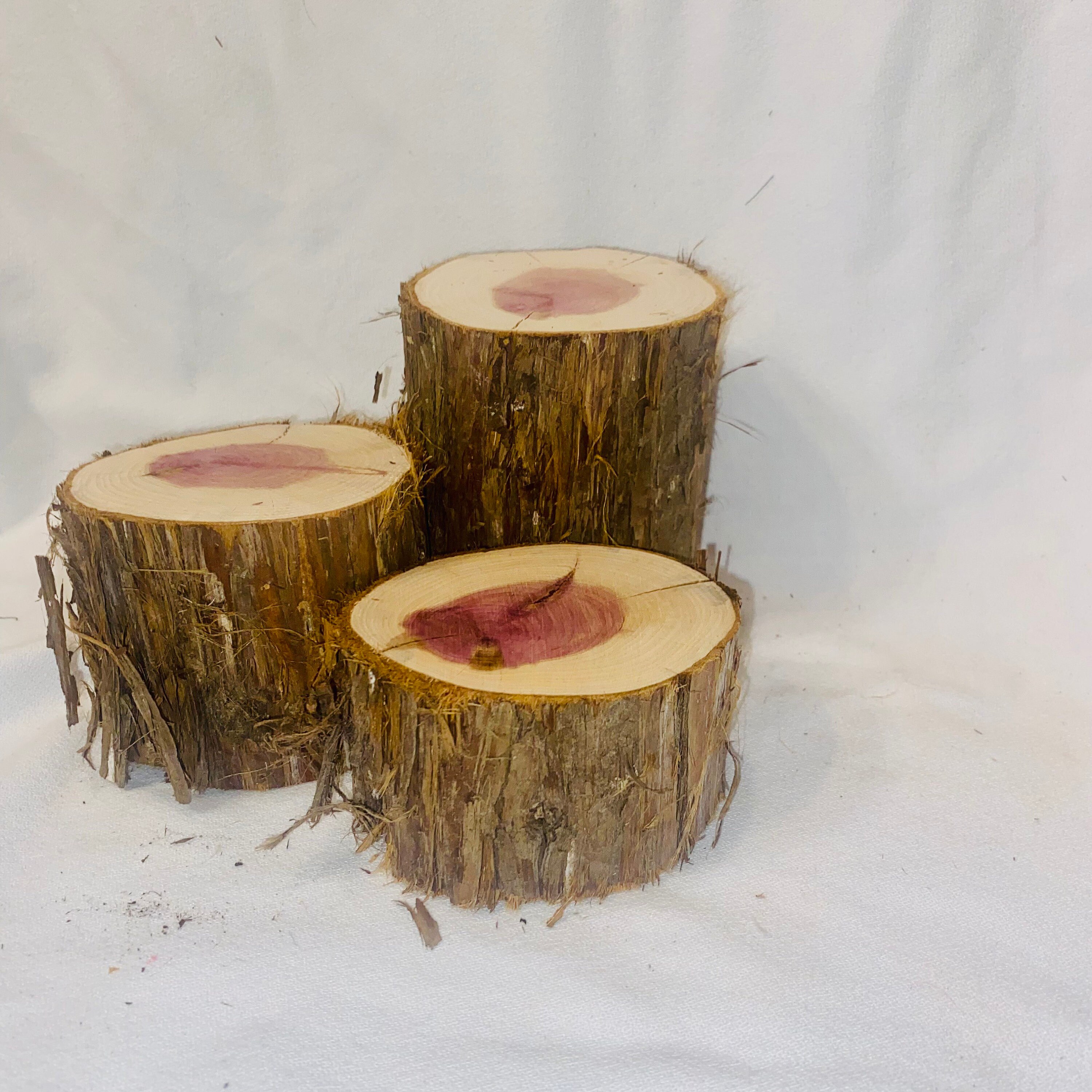Rustic Cedar Stumps Set of 3 Live Edge Rustic Cedar Risers - Etsy