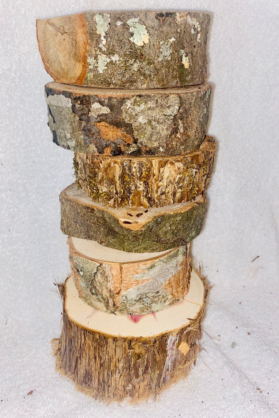 Live Edge Log Stumps Set of 8 Assorted Types Rustic Wood - Etsy