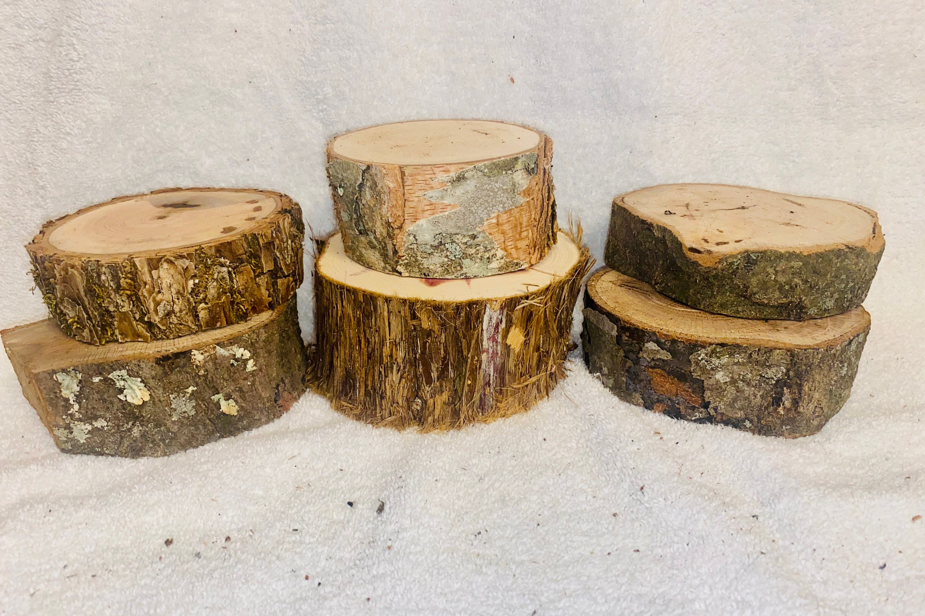 Live Edge Log Stumps Set of 8 Assorted Types Rustic Wood - Etsy