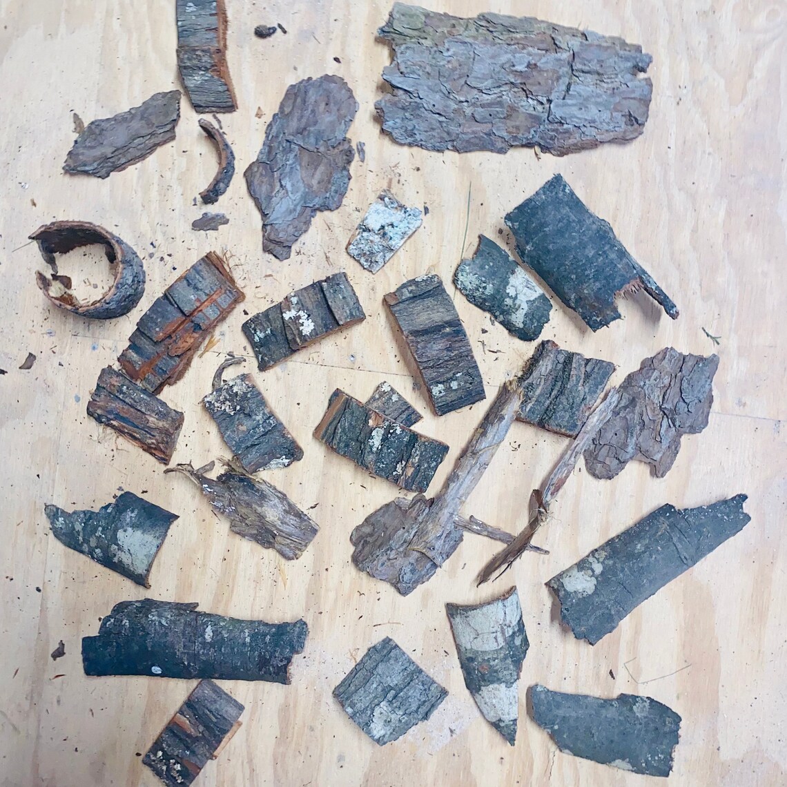 Natural Tree Bark 10 Ounces All Natural Tree Bark Pieces | Etsy