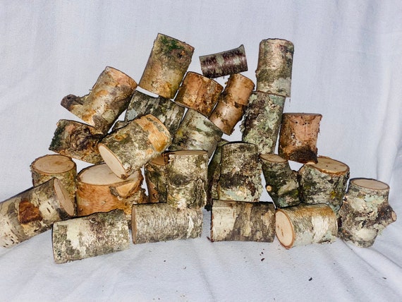 Birch Log Pieces 25 Count Assorted Sizes Small Birch - Etsy