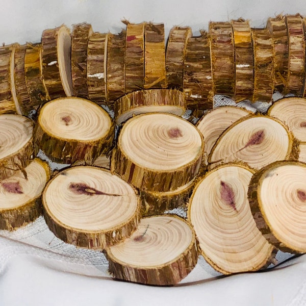 Cedar Rounds - Etsy