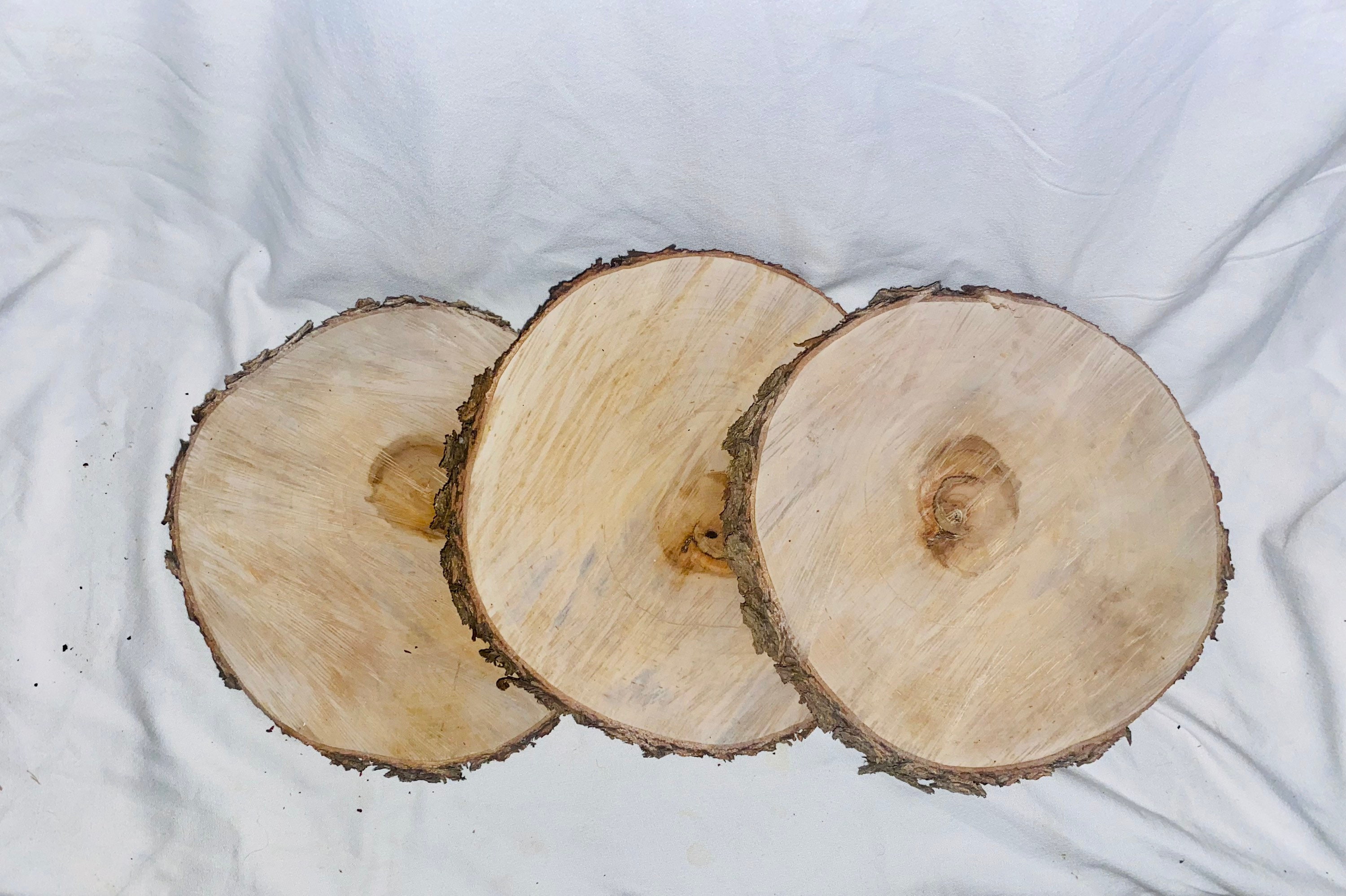 10 Birch Tree Slice Large Tree Slice Rustic Wood Cake - Etsy