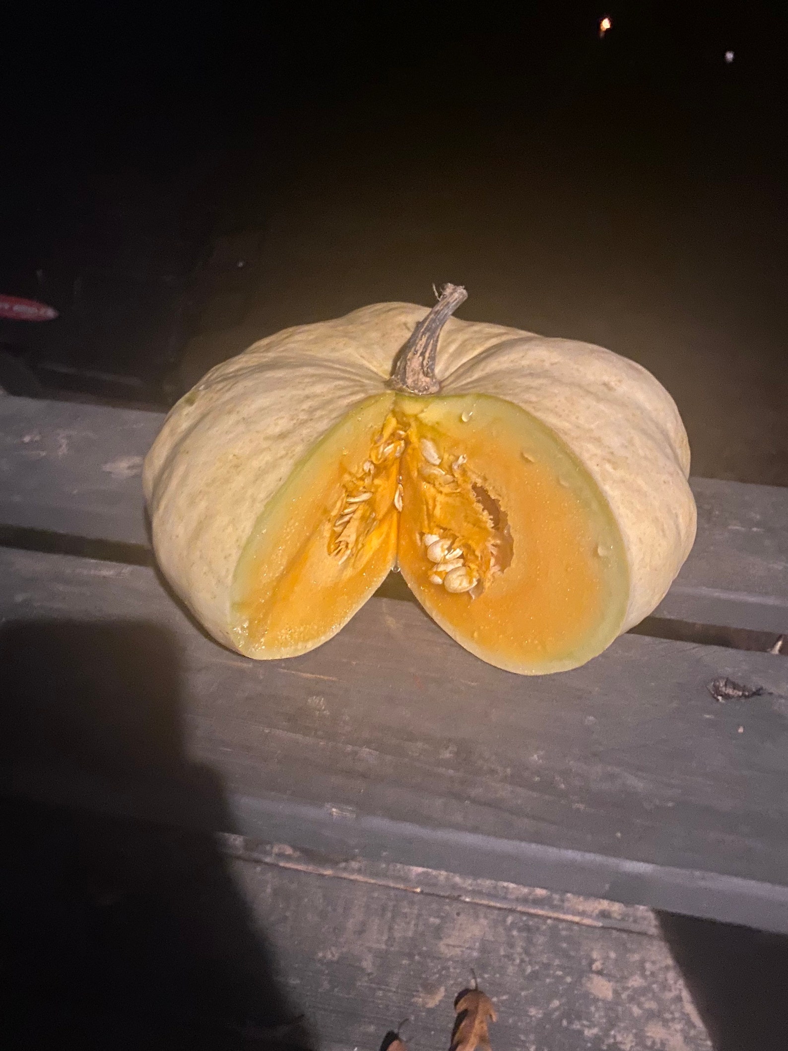 Flat Stacker Pumpkin Seeds 10 count | Etsy