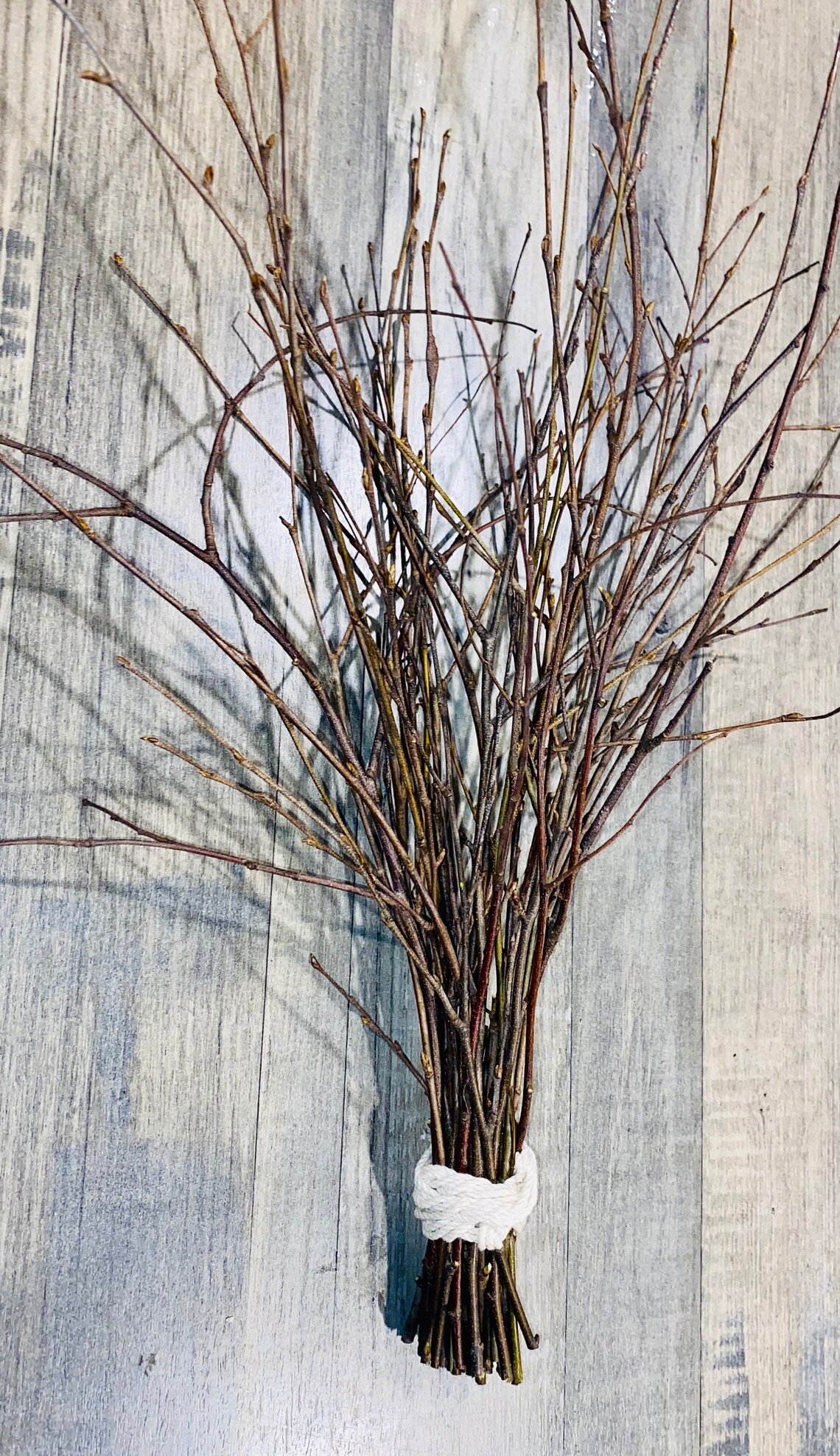 Bundle of real Birch Twig Branches 50 total 21 24 long | Etsy