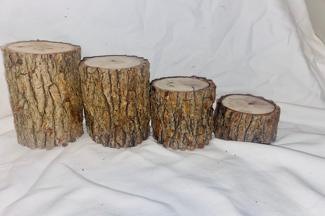 Rustic Wood Log Stumps Set of 4 Diameter 3 to 4 - Etsy
