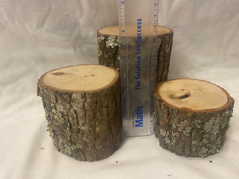 Rustic Wood Log Stumps Set of 3 With 3-4 Diameter Rustic - Etsy