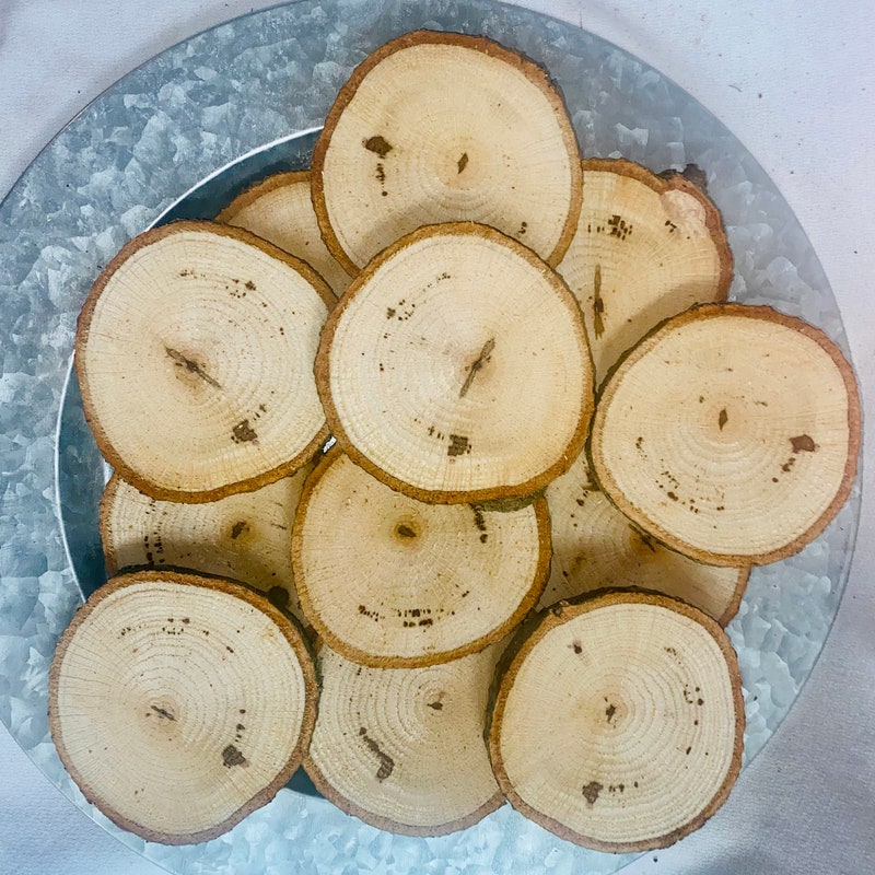 Oak Wood Slice - Etsy