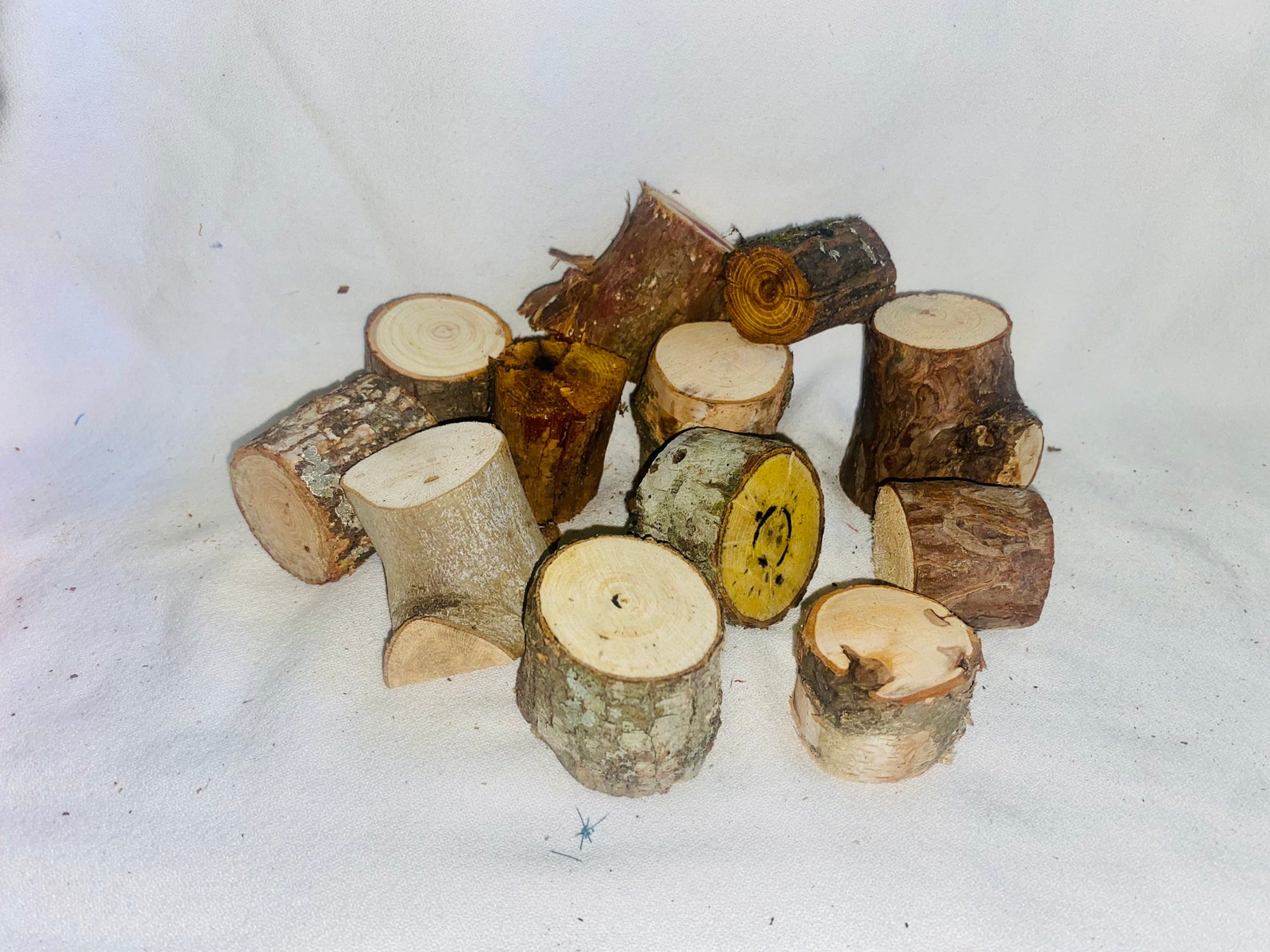 Mini Tree Stumps Set of 12 Assorted Small Wood Stumps - Etsy
