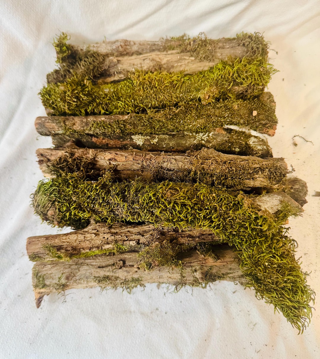 Mossy Osage Orange Logs - Set of 10 - Wood Sticks/logs -8” Length ...