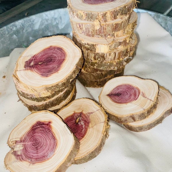 Cedar Circles - Etsy