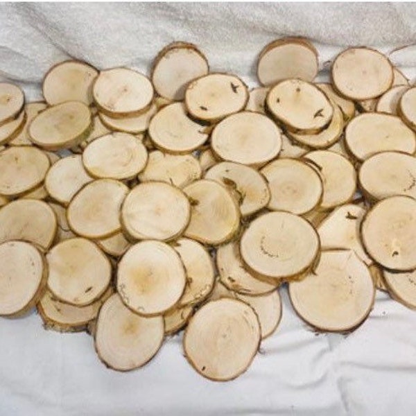 Tree Branch Slices - Etsy