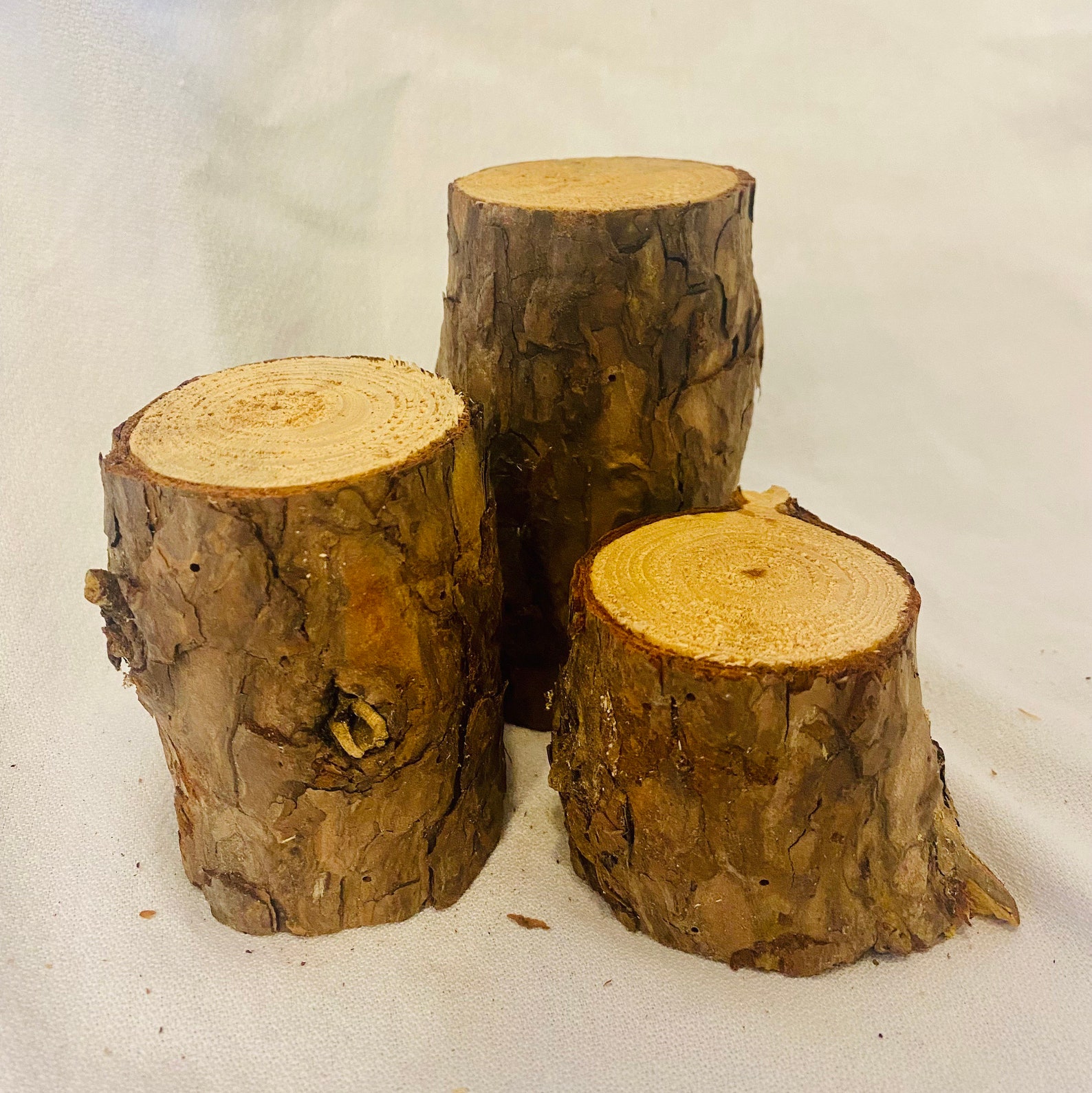 Rustic Pine Wood Log Stumps - Set of 3 - Woodland Decor - Etsy